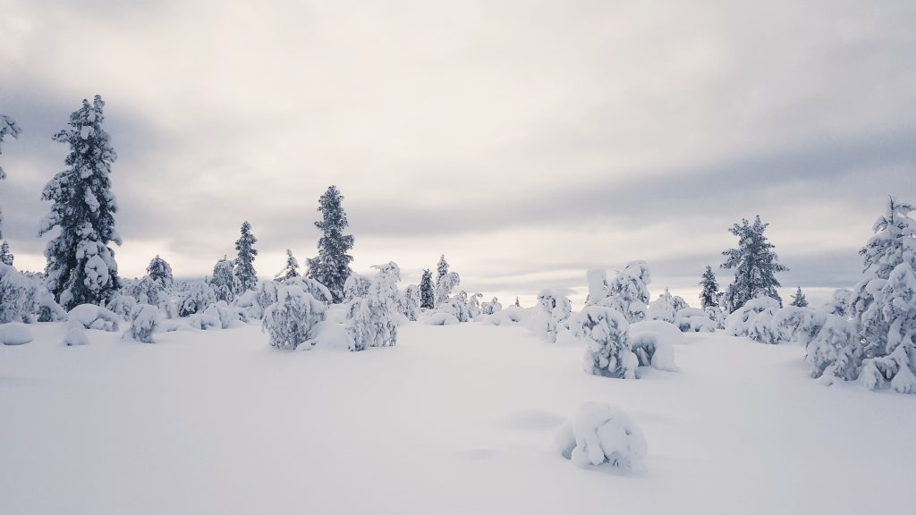 10 tips to stay warm hiking in winter - Alpenwild